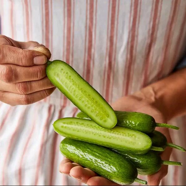 Cucumber, Mini, Party Time Hybrid 1Pkt 30 Seeds | Seedsplant