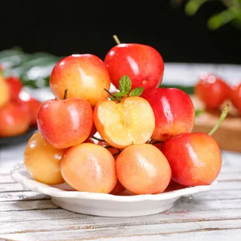 Rainier Cherry Fruit Seeds(Can be planted in winter) | Seedsplant