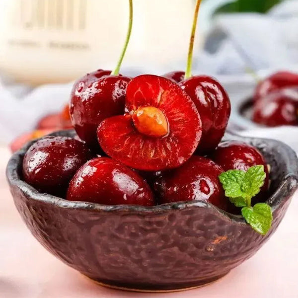 Rainier Cherry Fruit Seeds(Can be planted in winter) | Seedsplant
