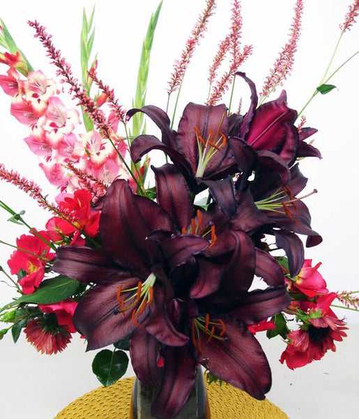 Firebolt Oriental Hybrid Lily Blooms Species Growing Bonsai Bulbs Roots ...